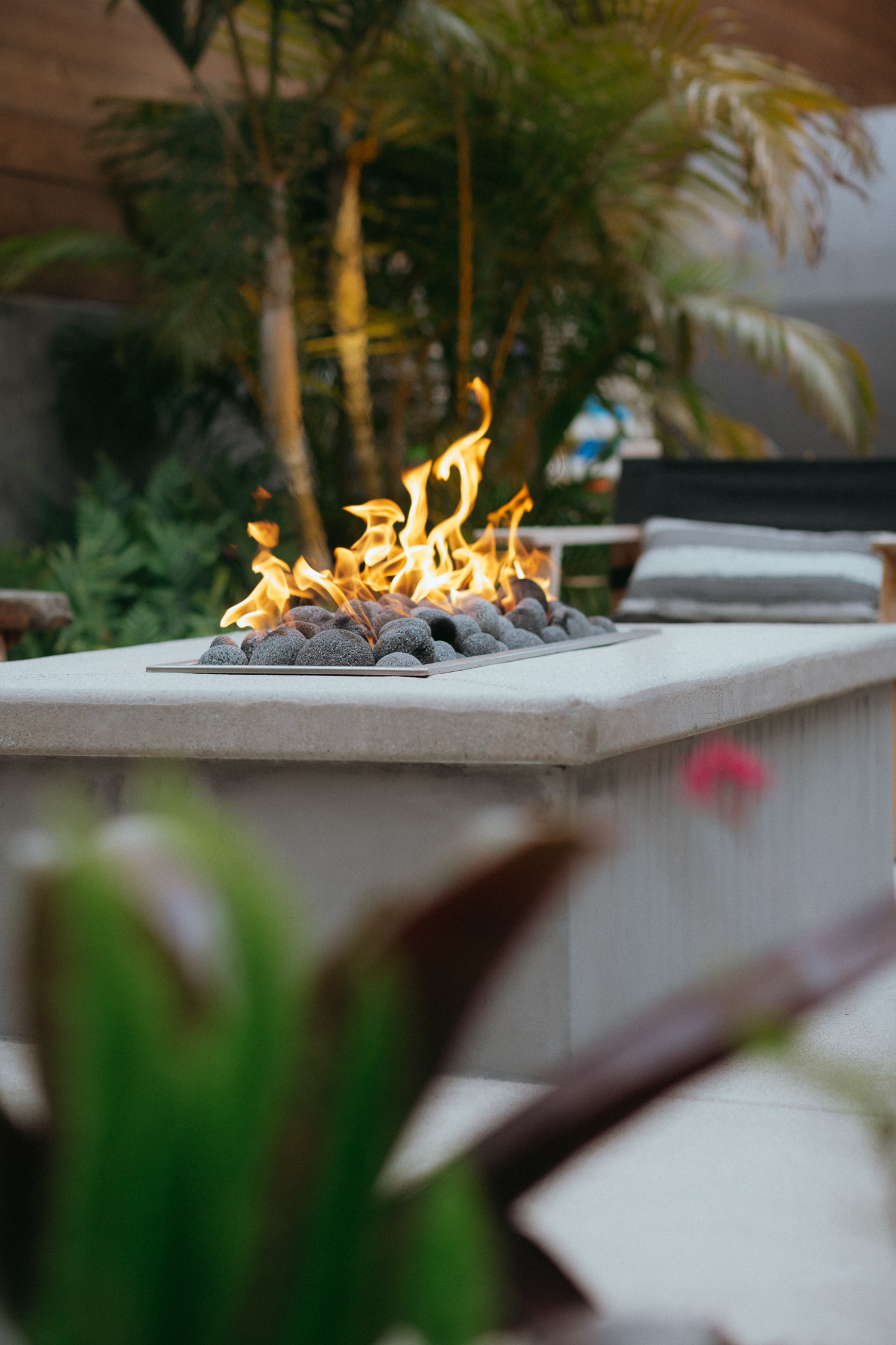 Encinitas Landscape Photos | Soil + Sea | Rios - Melissa Montoya ...